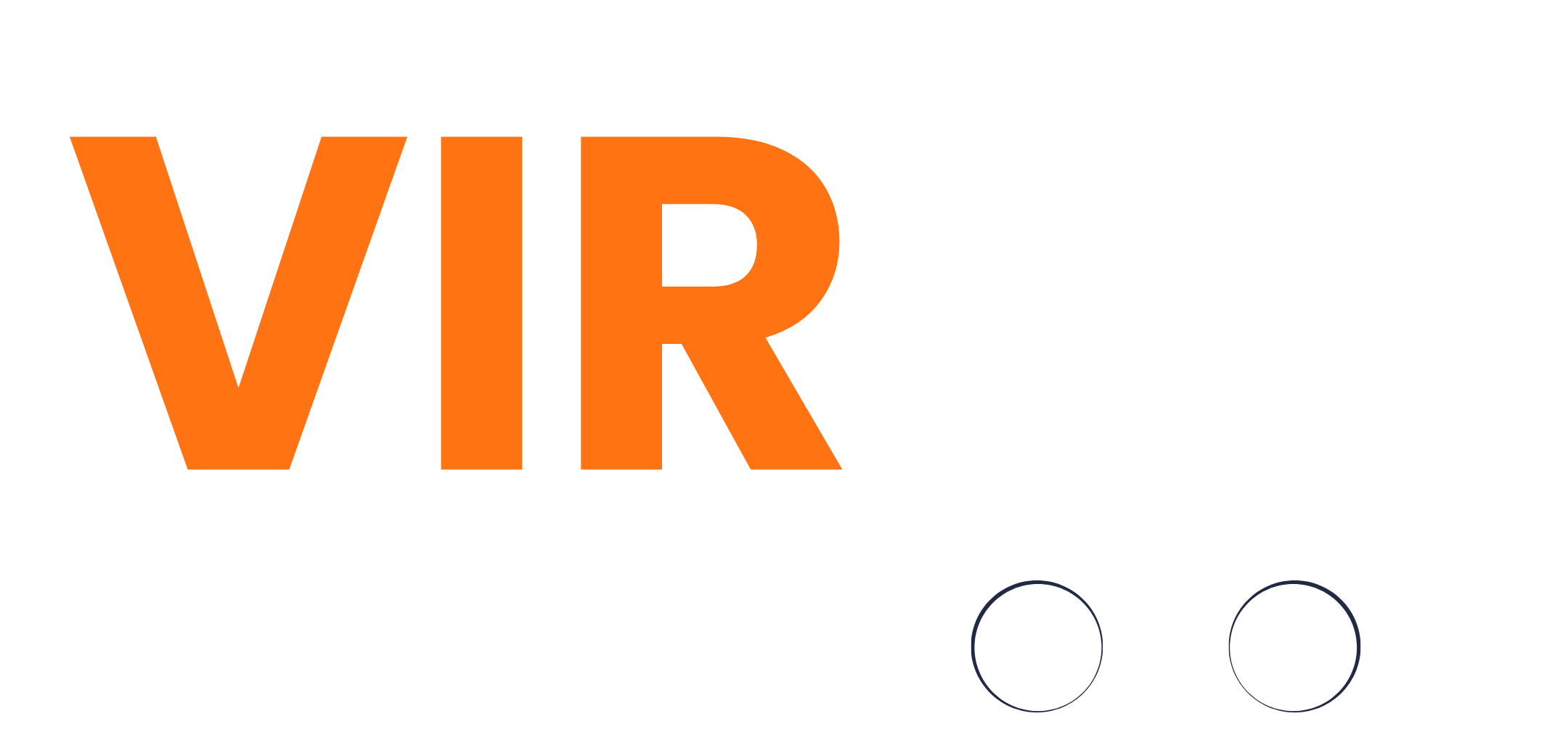 VirVentures | Global eCommerce Accelerator